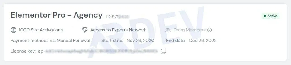 Jasa Install Plugin Elementor Pro Original & Auto Update - Ardev